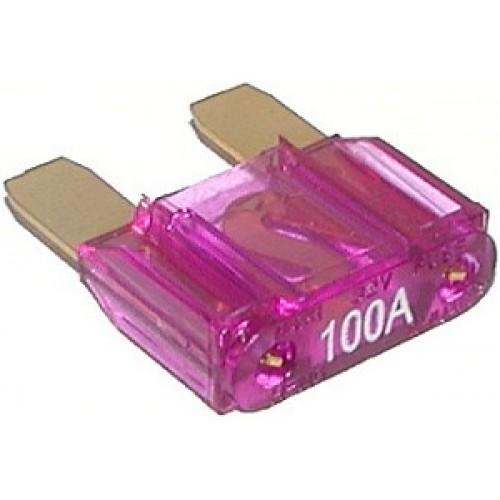 LIGHTNING 100A MAXI FUSE (LP-MAXIFUSE100A) – Battery Wise